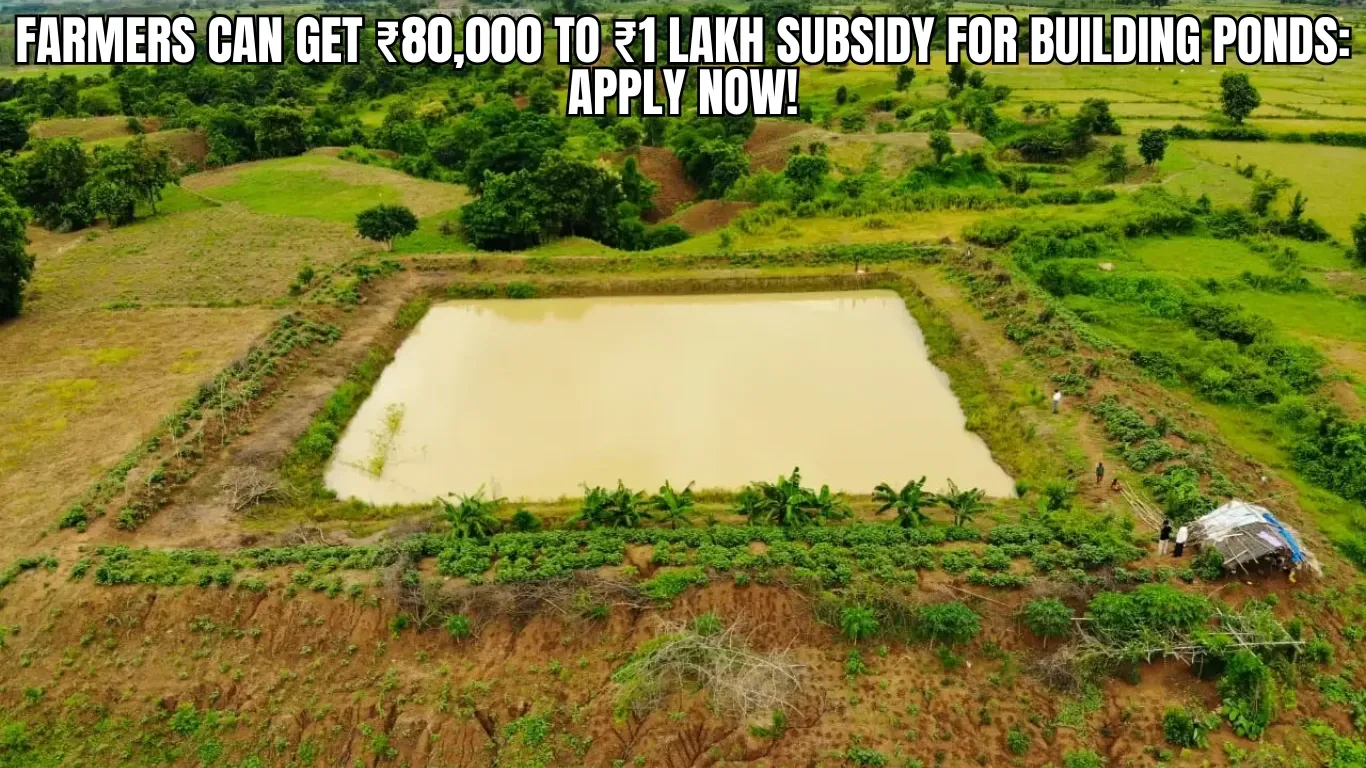 Farmers Can Get ₹80,000 to ₹1 Lakh Subsidy for Building Ponds: Apply Now!