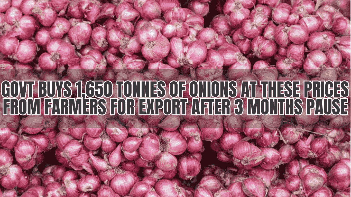 Govt Buys 1,650 Tonnes of Onions at these Prices from Farmers for ...