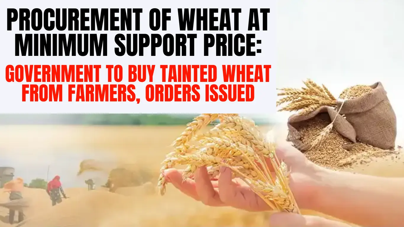 Procurement of Wheat at Minimum Support Price: Government to Buy ...