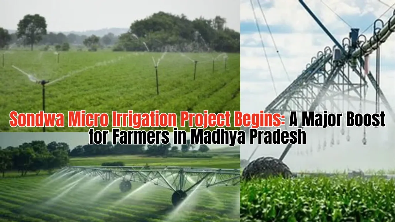 Sondwa Micro Irrigation Project Begins: A Major Boost for Farmers in ...